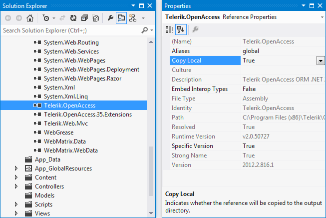 Handling Error Could Not Load File Or Assembly Telerik Openaccess Or