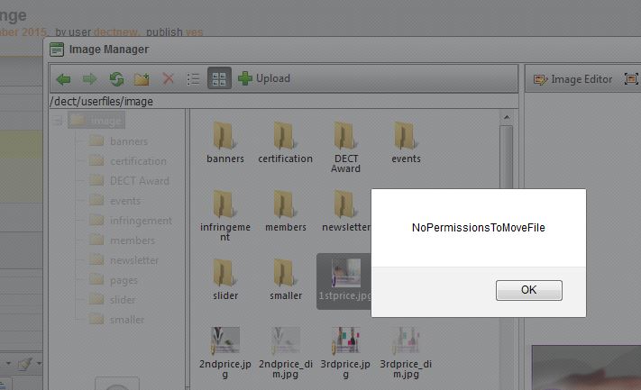 Illegal Characters In Path In Ui For Aspnet Ajax Editor Telerik Forums