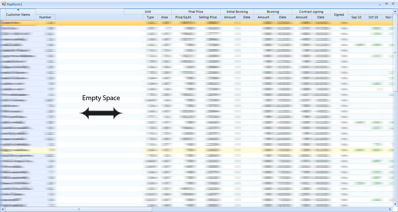 Formatstring Colums Pin Problem In The Radgridview In Ui For Winforms