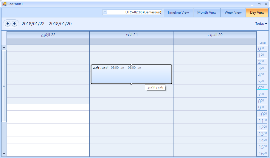 Arabic Words Direction In Radscheduler In Ui For Winforms Scheduler And Reminder Telerik Forums