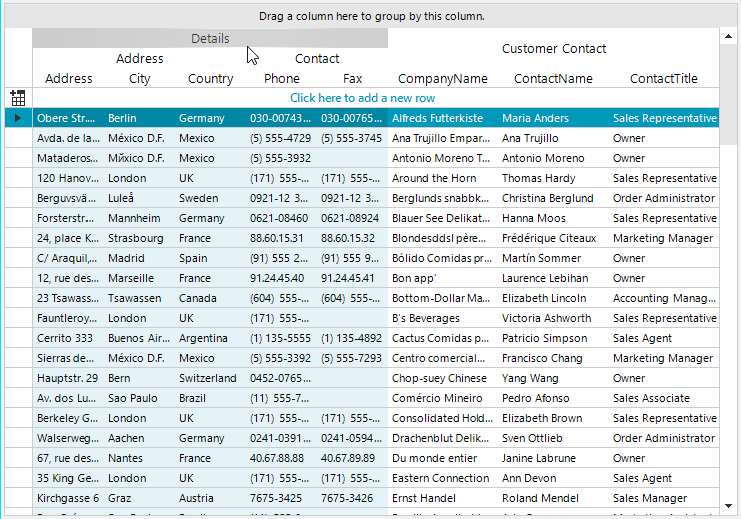 How to pinned column when Viewdefinition value of radDataGridview using Htmlview. in UI for ...