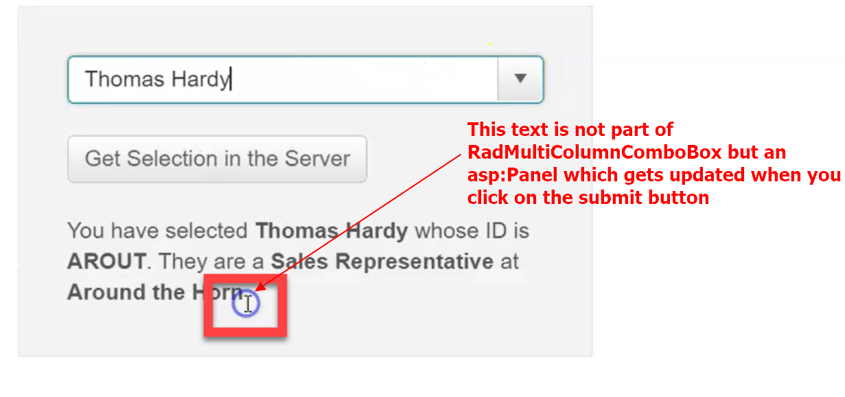 Mouse cursor on RadMultiColumnComboBox in UI for ASP.NET AJAX | Telerik Forums