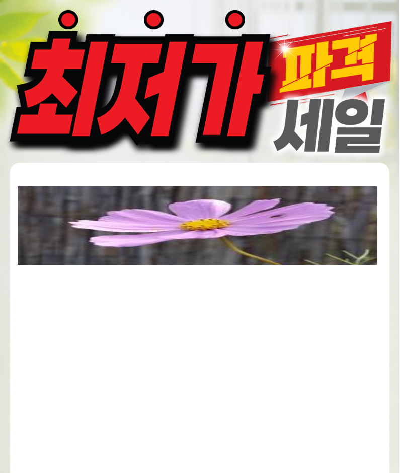 How to set ReportViewer same in Reporting | Telerik Forums