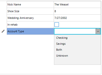 Using custom editor in RadGridView in UI for WinForms | Telerik Forums