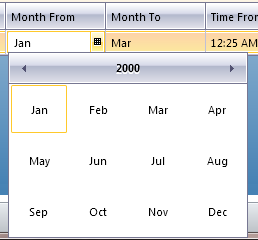 Use RadDateTimePicker as Month Picker in UI for WPF | Telerik Forums