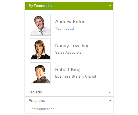 jQuery PanelBar Widget | Kendo UI for jQuery
