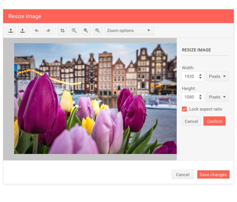ASP.NET Core Image Editor component | Telerik UI for ASP.NET Core