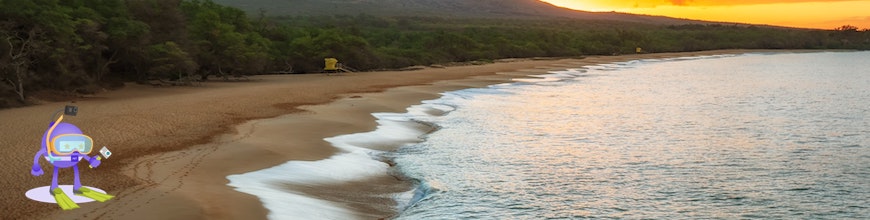 Exploring Multi-Windows in .NET MAUI