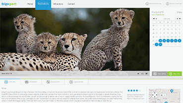 Telerik Product Demos, Examples and Tutorials for all Telerik products