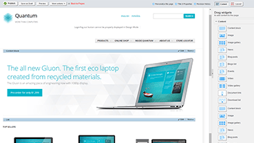 Telerik Product Demos, Examples and Tutorials for all Telerik products