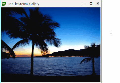 A Picture is Worth a Thousand Words Meet WinForms PictureBox